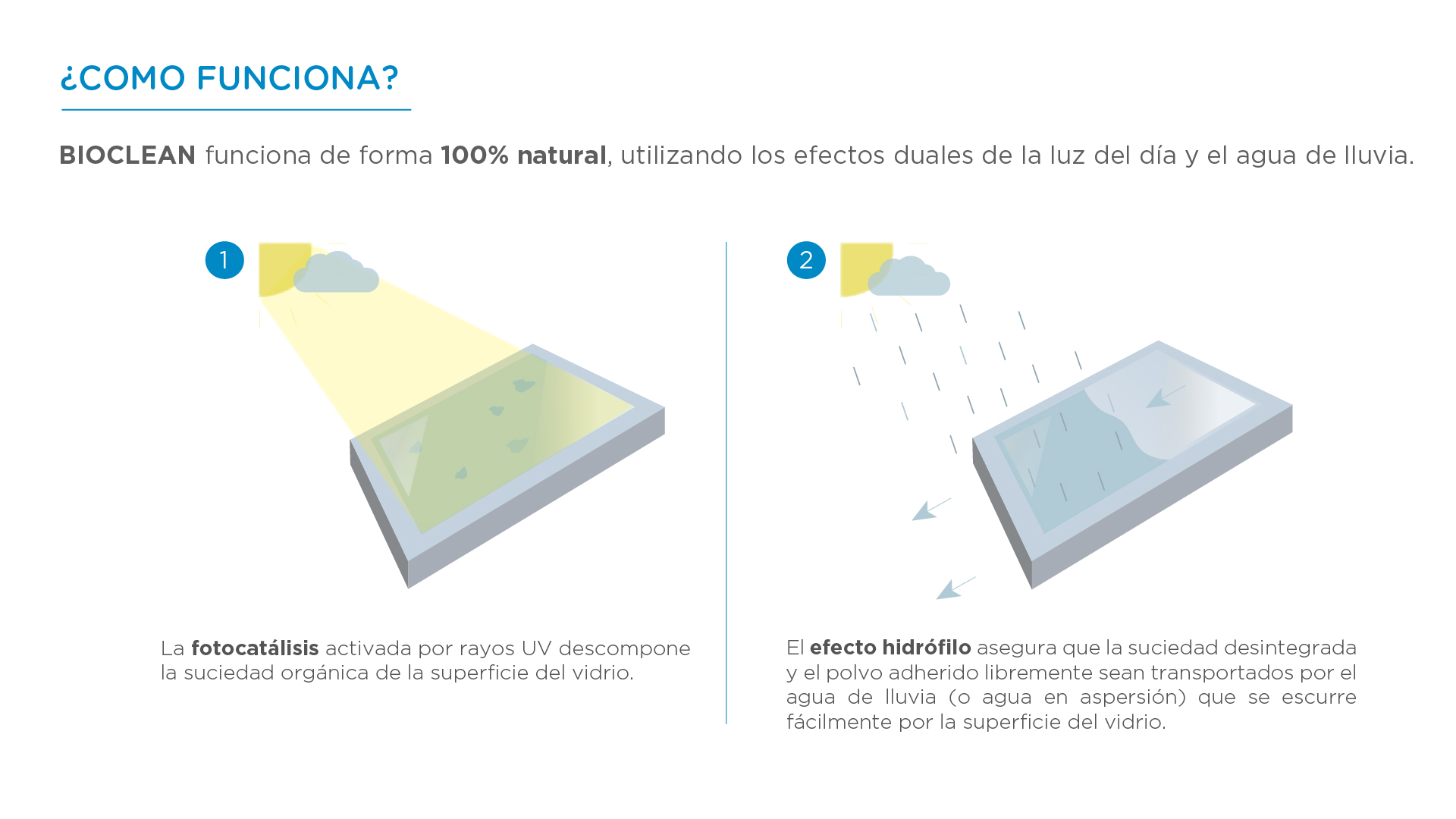 Bioclean | Saint-Gobain Glass Mexico